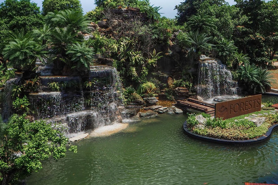 U Forests Cafe | Trip.com ระยอง