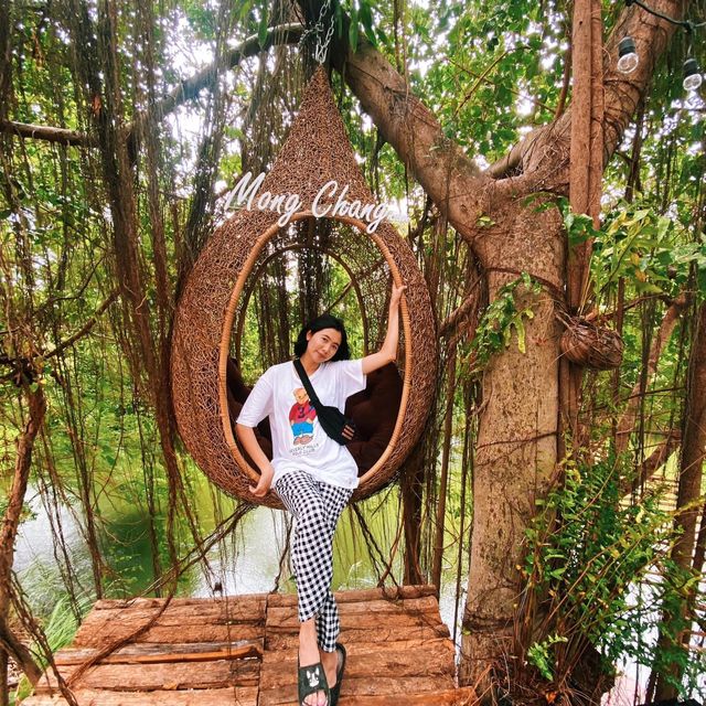 มองช้างคาเฟ่ MongChang Cafe @PATTAYA 🐘🌿 | Trip.com พัทยา