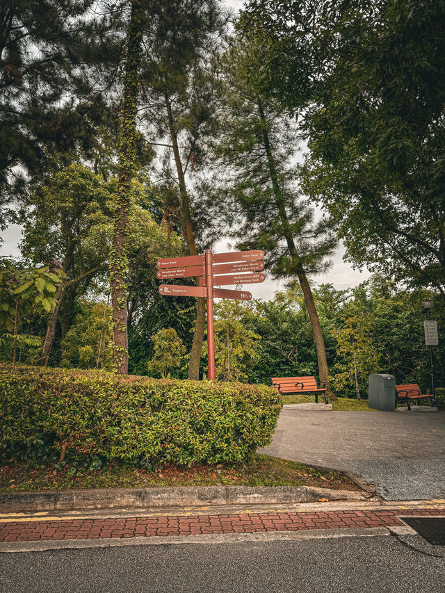 Faber Point: A Scenic Escape Overlooking Singapore | Trip.com Singapore