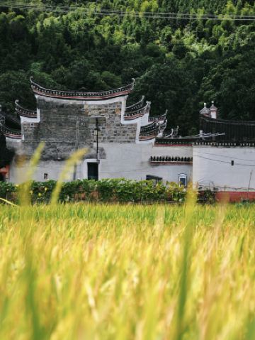Things to Do in Yongzhou in 2024 - Top Attractions, Local Food, Hotels ...