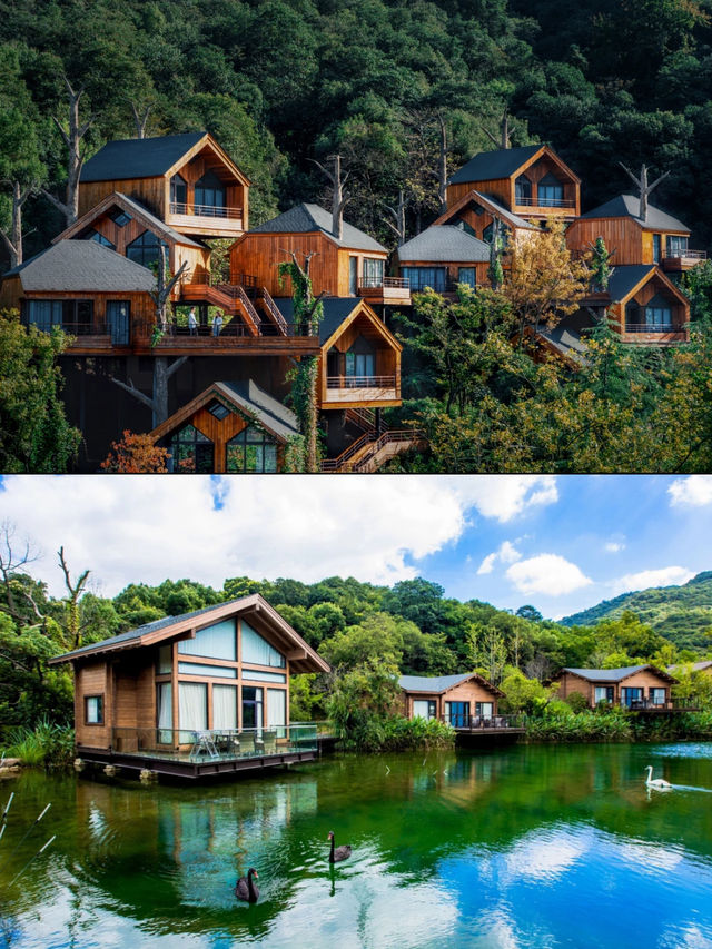 Hangzhou Kaiyuan Senbo Resort Hotel | Starry sky cabins scattered in ...