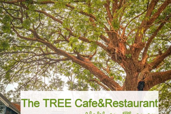The TREE Cafe&Restaurant 🌳🌴 คาเฟ่ต้นไม้ใหญ่ ริมแม่น้ำโขง | Trip.com นครพนม