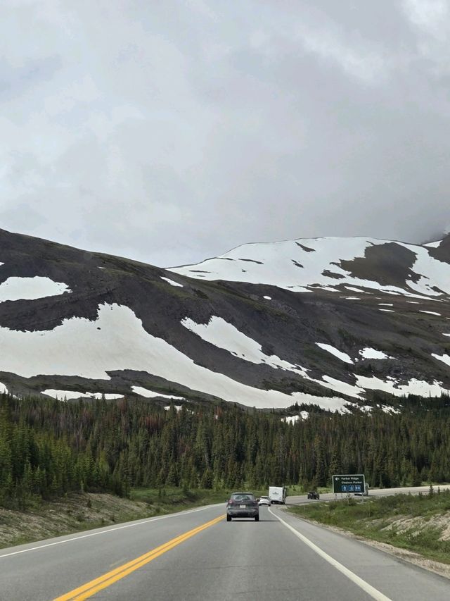 🗻 Jasper Adventure – Nature, Waterfalls & Wildlife! 🦌 | Trip.com Jasper ...