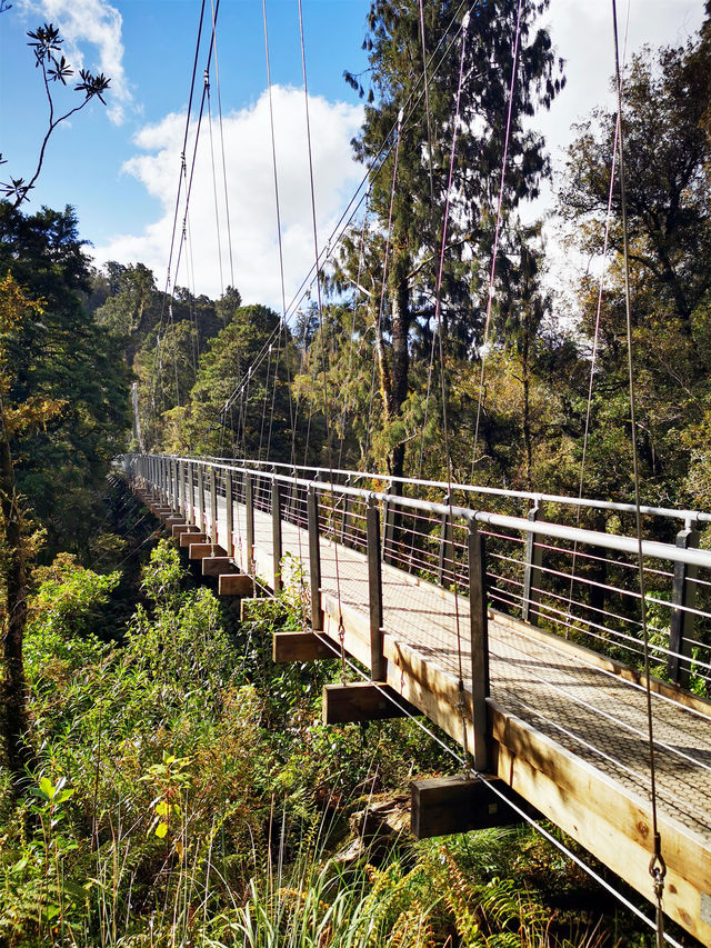 Hokitika Gorge, slippery milky blue | Trip.com Hokitika