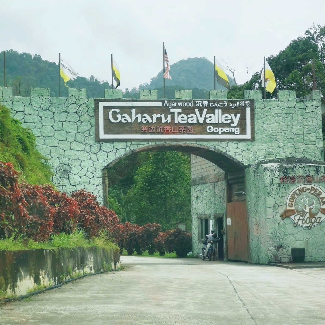 Gopeng Travel Guide 2024 - Things to Do, What To Eat & Tips | Trip.com