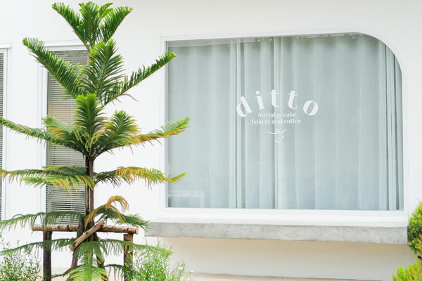 Ditto.cafe | Trip.com ขอนแก่น