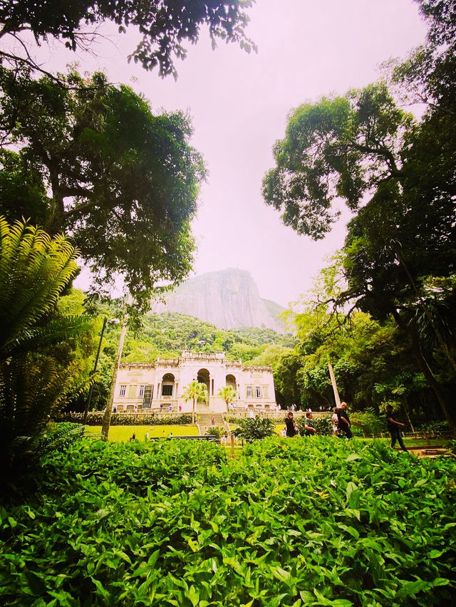 ☀️ Spring Vibes: A Short Trip to Rio de Janeiro, Brazil 🇧🇷 | Trip.com ...