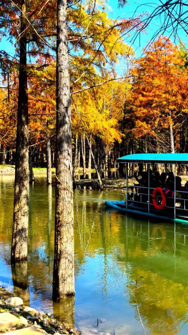 Things to Do in Ningguo in 2024 - Top Attractions, Local Food, Hotels ...