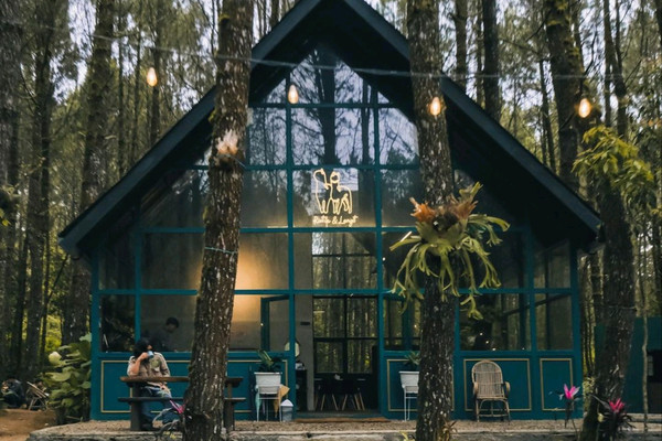 TANGKAL PINUS | NEW CAMPING GROUND AT LEMBANG | Trip.com West Bandung ...