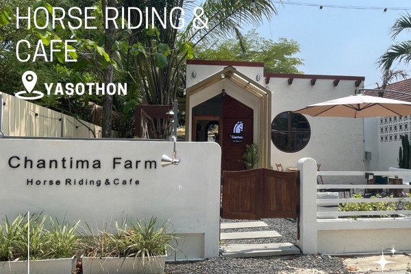 CHANTIMA FARM CAFÉ | Trip.com อำเภอเมืองยโสธร