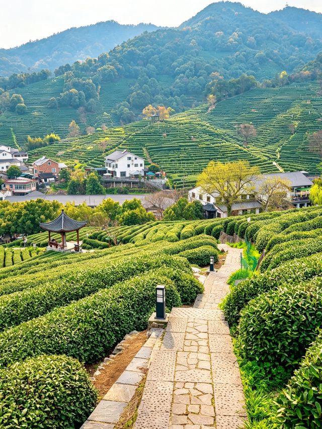 Hangzhou's Top Spring Hiking Trail｜From Jiuxi to Longjing Village, Step ...