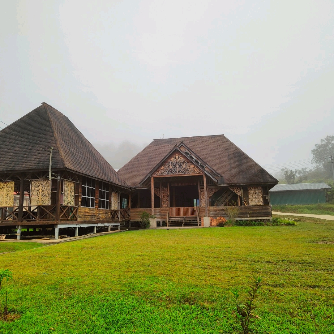 Bario Travel Guide 2024 - Things to Do, What To Eat & Tips | Trip.com