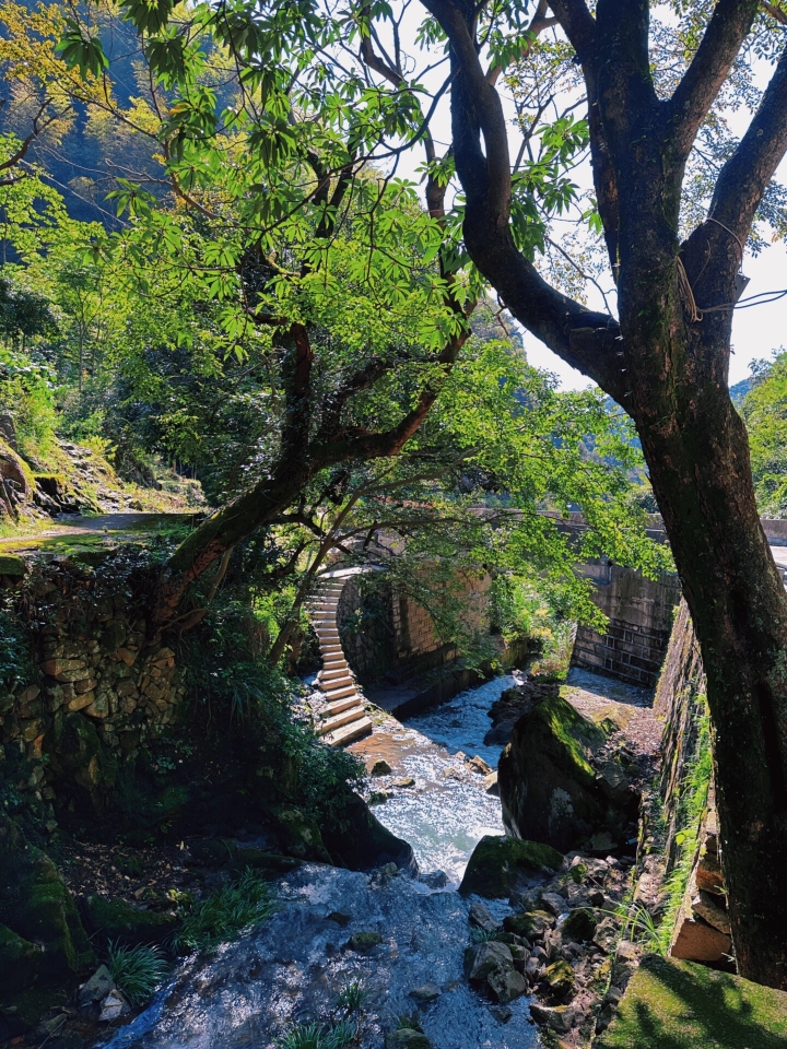 Things to Do in Yiwu in 2024 - Top Attractions, Local Food, Hotels ...