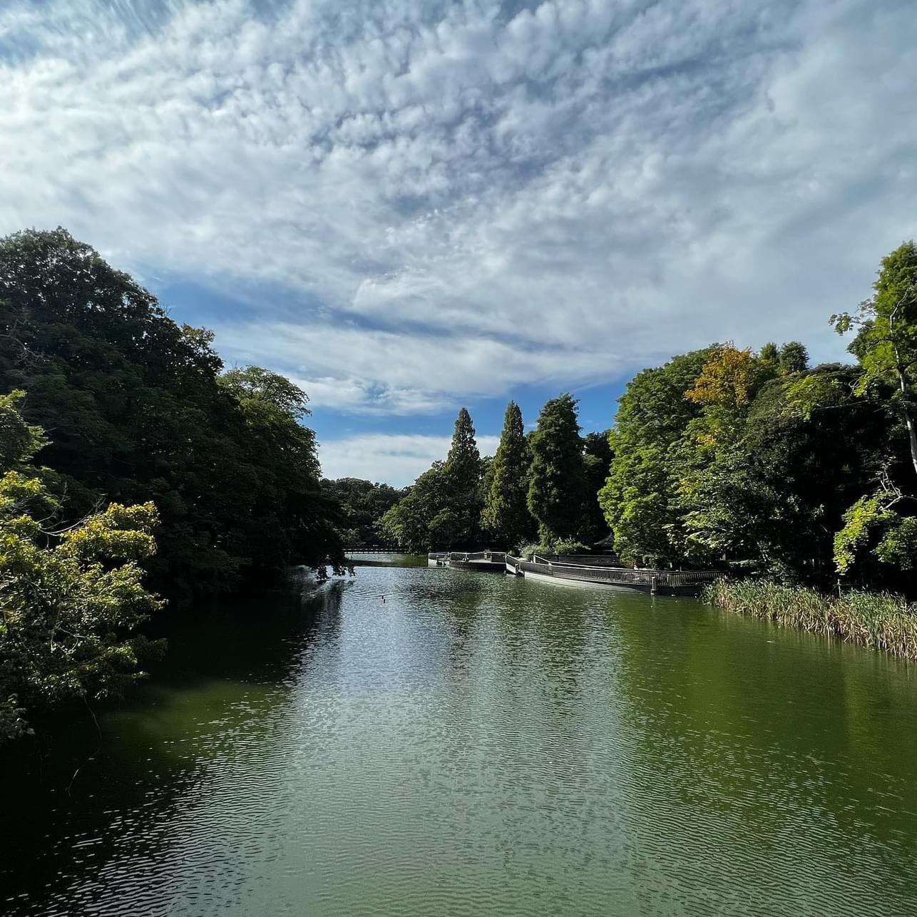 Things to Do in Musashino in 2024 - Top Attractions, Local Food, Hotels ...