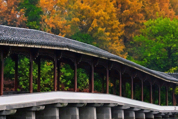 longjiang tea garden | Trip.com Hangzhou