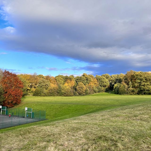 英國Norfolk Park 楓葉靚景｜Trip.com 謝菲爾德