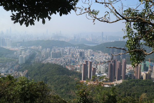 A super practical guide to checking in at Wutong Mountain in Shenzhen ...
