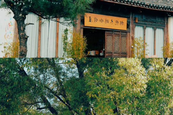 Recommendations for four underrated yet beautiful niche attractions in ...