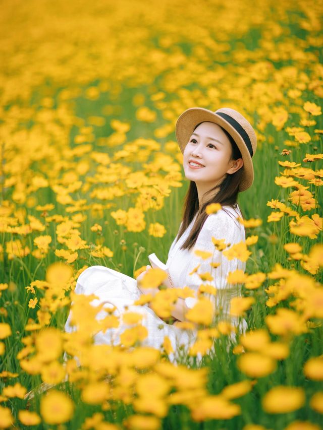 Chengdu Coreopsis Sea, Stepping into a Summer Dream by Hayao Miyazaki ...