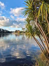 Are the North Island landscapes more diverse than people realize? 🇳🇿🌿 ...