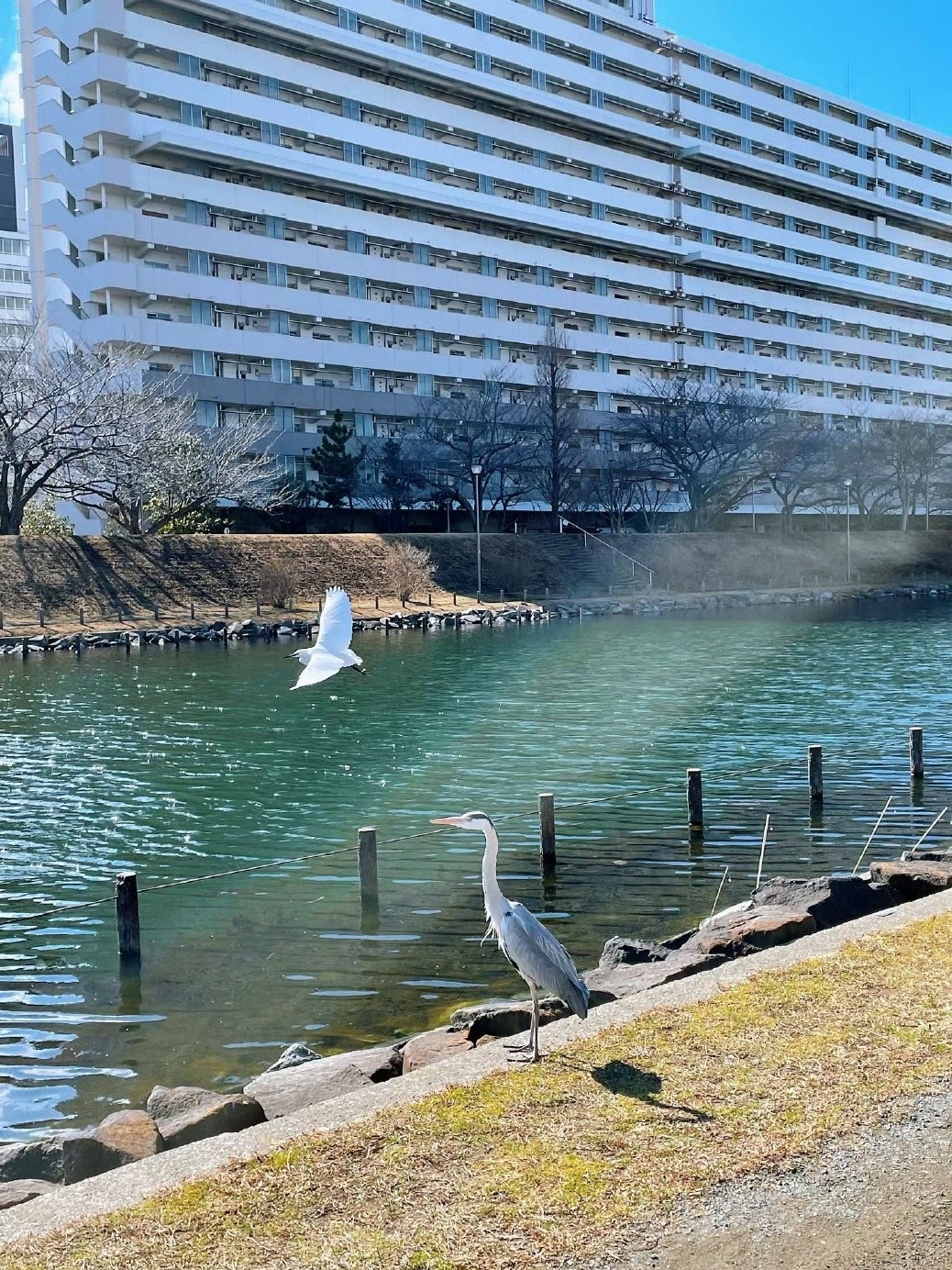 고마쓰여행 (2024) - 인기 여행지, 추천 코스, 맛집 정보 | 트립닷컴