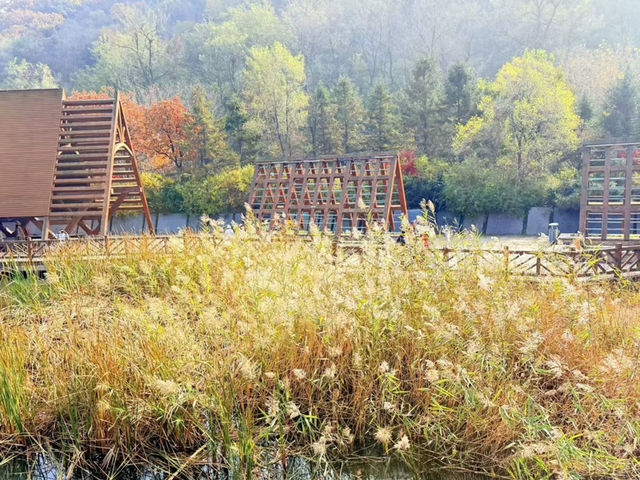Dalian Surrounding Hidden Travel Gems | Trip.com Dalian