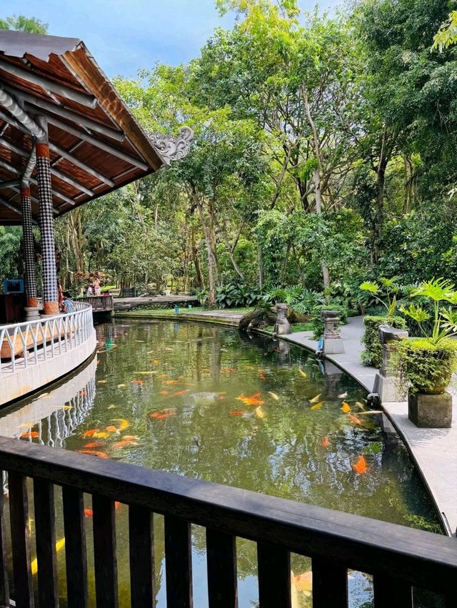 Ubud Monkey Forest | Trip.com Bali