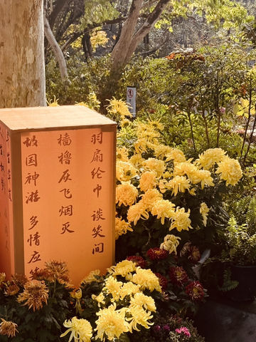 Tranquil Garden Bliss🌸 | Trip.com Shanghai