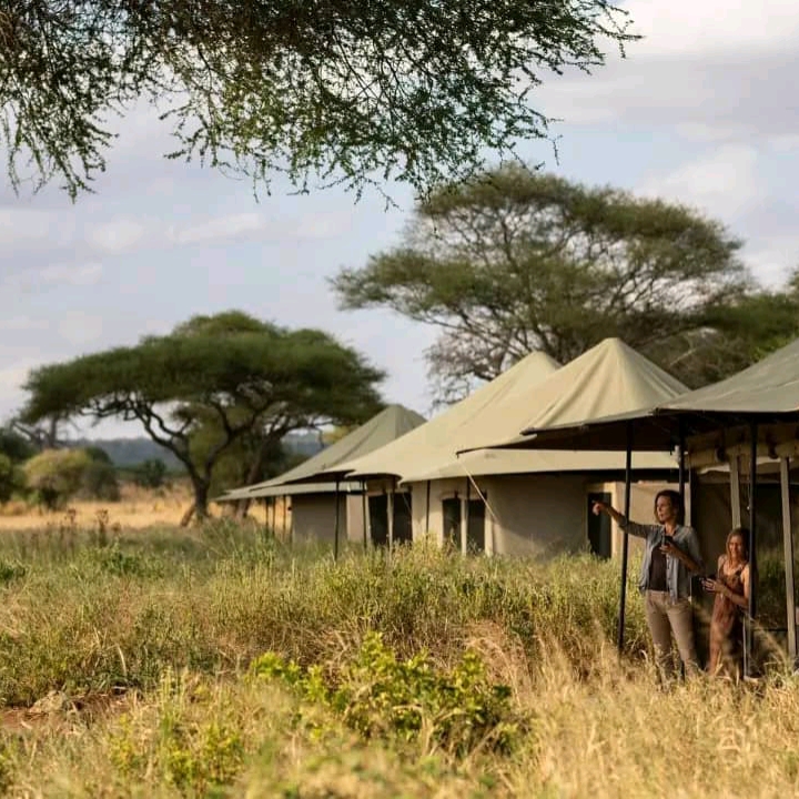 Urban Travel Guide 2023 - Things to Do, What To Eat & Tips | Trip.com