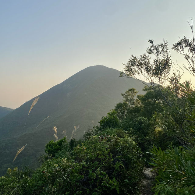 Sharp peak Hong Kong 360° view | Trip.com Hong Kong