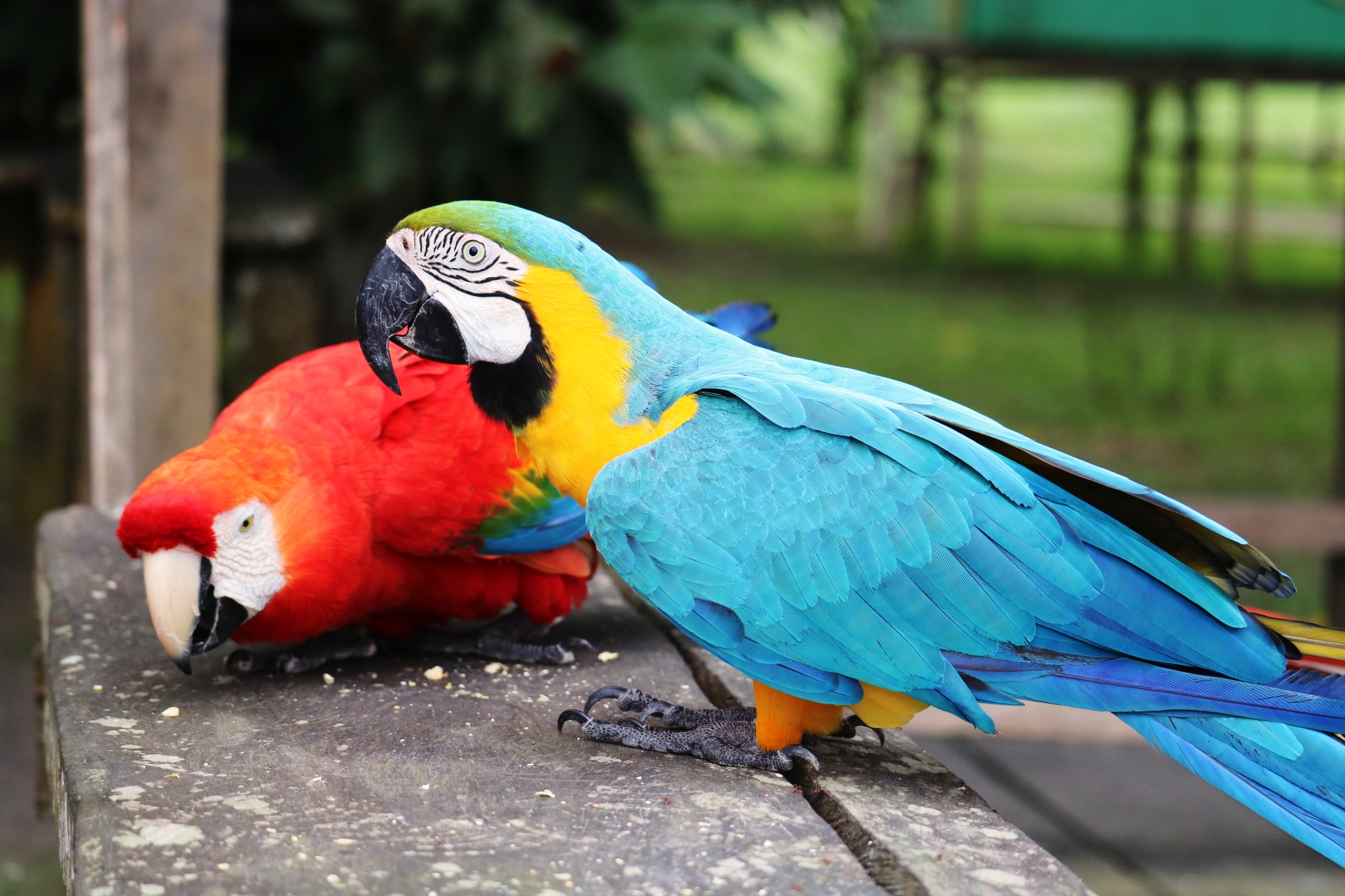 Leticia Travel Guide 2024 - Things to Do, What To Eat & Tips | Trip.com