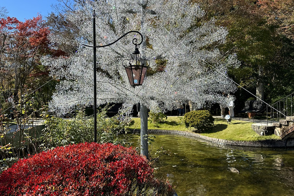 Hakone Glass Forest Art Museum, this place really looks like a fairy ...