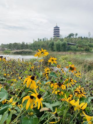 Things to Do in Baoding in 2024 - Top Attractions, Local Food, Hotels ...