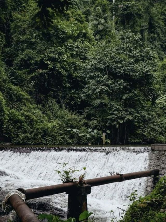 น้ำตกโตนปลิว Ton plew Waterfall | Trip.com อำเภอ ท่าแพ