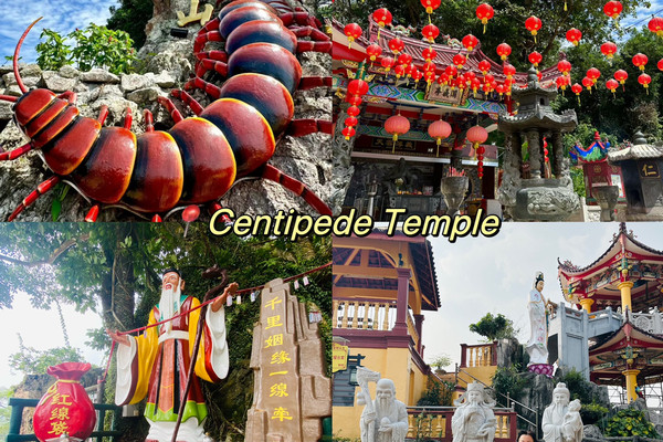 160 years old! Centipede Temple on Seremban Hill 🐛 🗻 | Trip.com Seremban