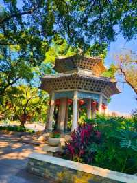 Urban Oasis Views🌳 | Trip.com Guangzhou