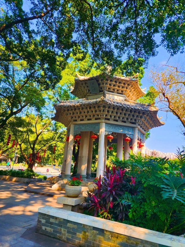 Urban Oasis Views🌳 | Trip.com Guangzhou