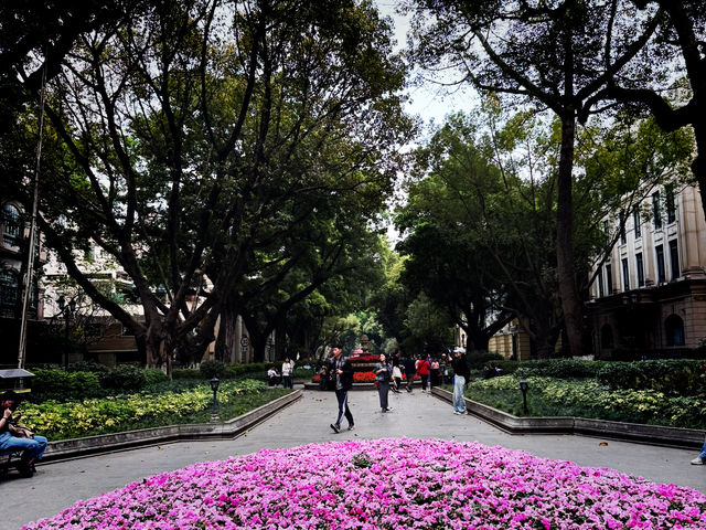 Western Charm Views Shamian Island: A Quiet European Dream in the Heart ...