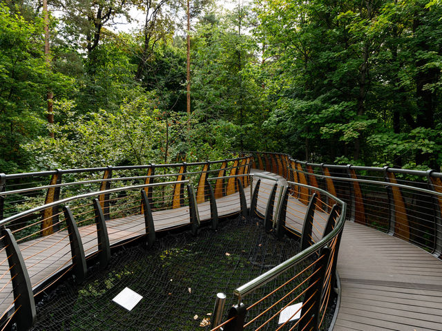 You climb a couple of meters and it's a different VDNKh. | Trip.com Moscow