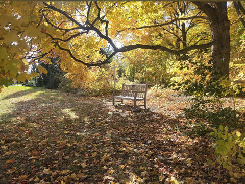 University of Minnesota Landscape Arboretum | Trip.com Chanhassen