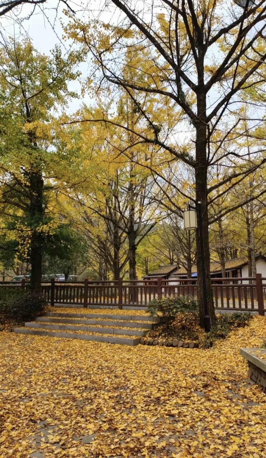 Zhuji Travel Guide 2024 - Things to Do, What To Eat & Tips | Trip.com