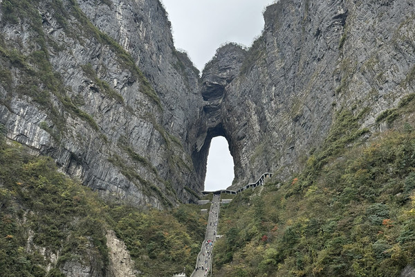 An Unforgettable Adventure: Tianmen Mountain’s 999 Steps and the Glass ...