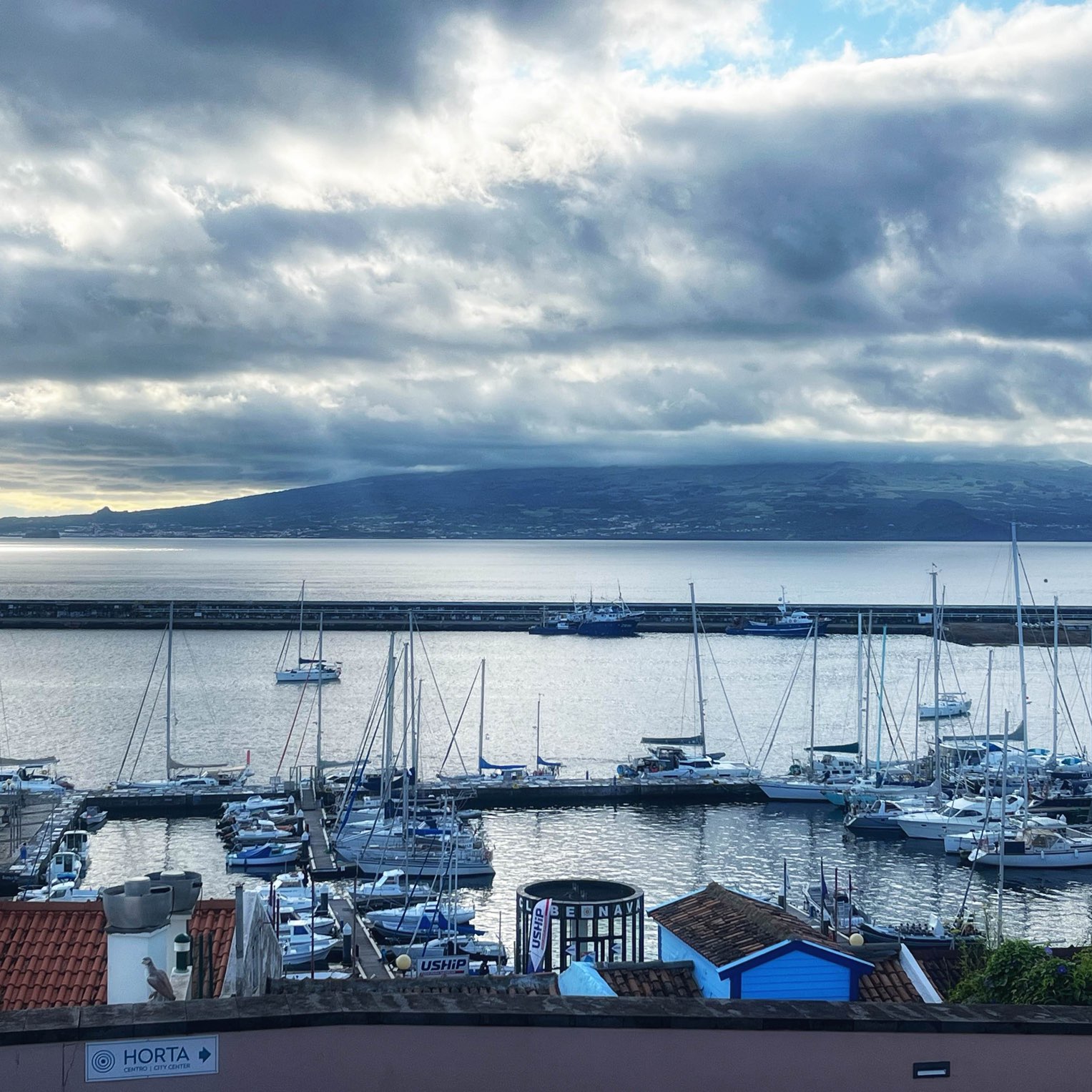 Horta Travel Guide 2024 - Things to Do, What To Eat & Tips | Trip.com