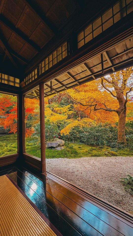 Kyoto Travel Guide 2024 - Things to Do, What To Eat & Tips | Trip.com