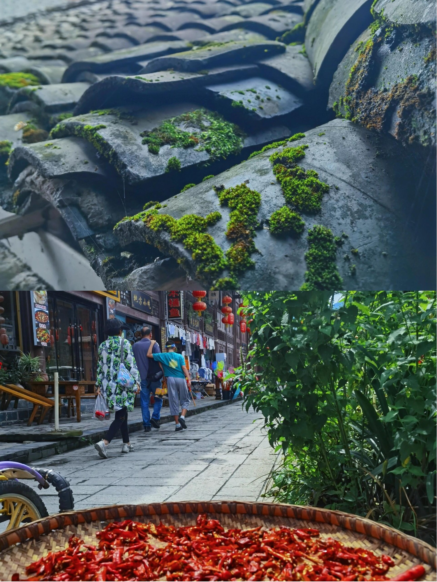 Things to Do in Hanzhong in 2024 - Top Attractions, Local Food, Hotels ...