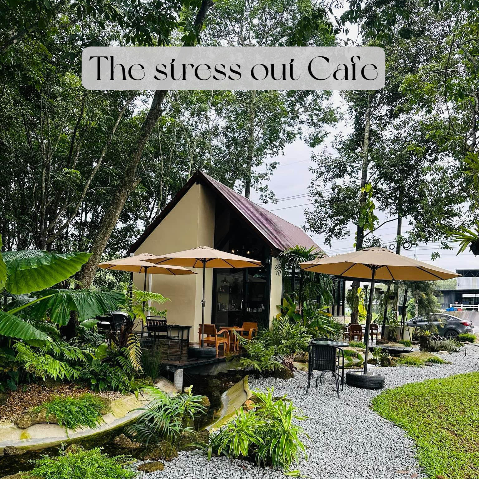 Things to Do in Map Yang Phon in 2024 - Top Attractions, Local Food ...