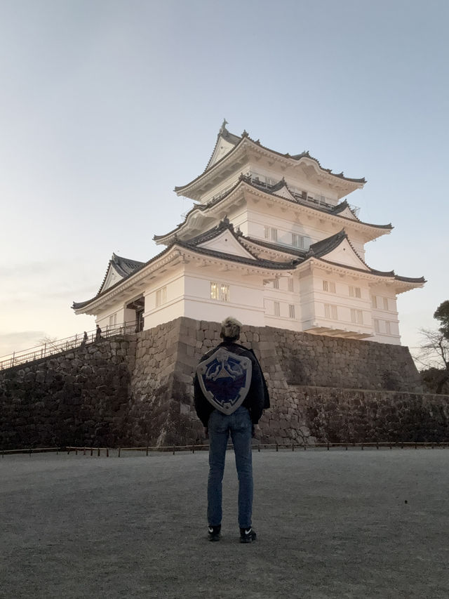 Odawara Castle | Trip.com Odawara