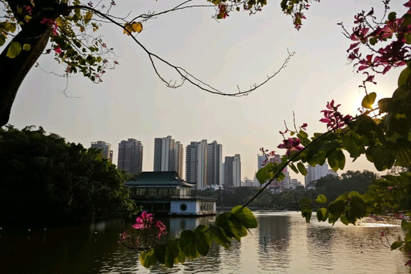 Nanning Tourist Attraction | Trip.com Nanning