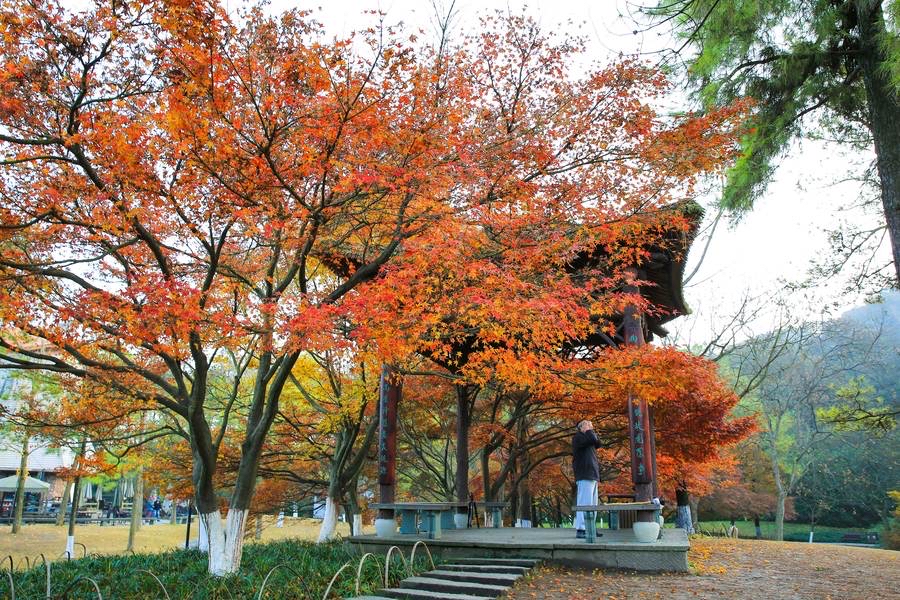 Things to Do in Yuyao in 2024 - Top Attractions, Local Food, Hotels ...
