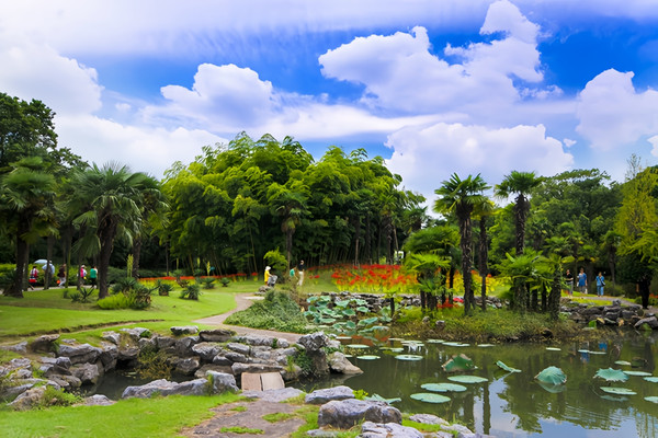 Shanghai Botanical Garden, a journey of discovery into the kingdom of ...